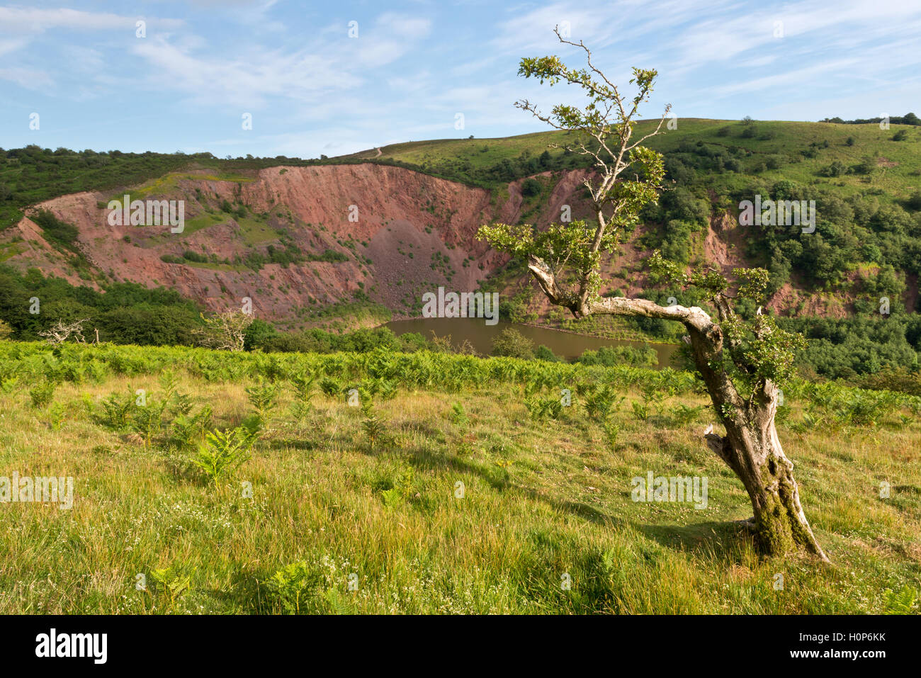 Triscombe quarry hi-res stock photography and images - Alamy