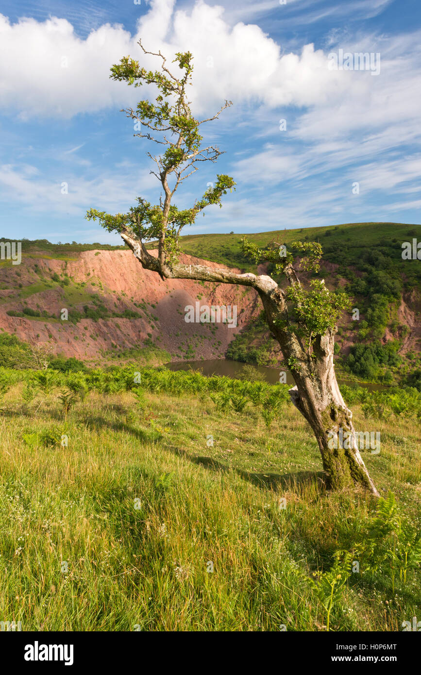 Triscombe quarry hi-res stock photography and images - Alamy