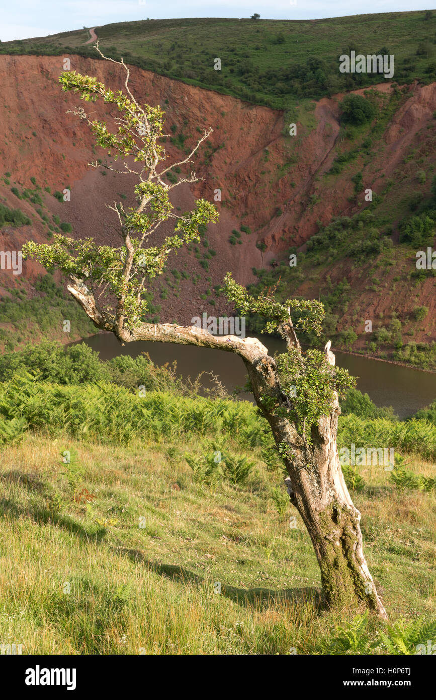 View of Triscombe quarry from Marrow Hill on the Quantock Hills part of ...