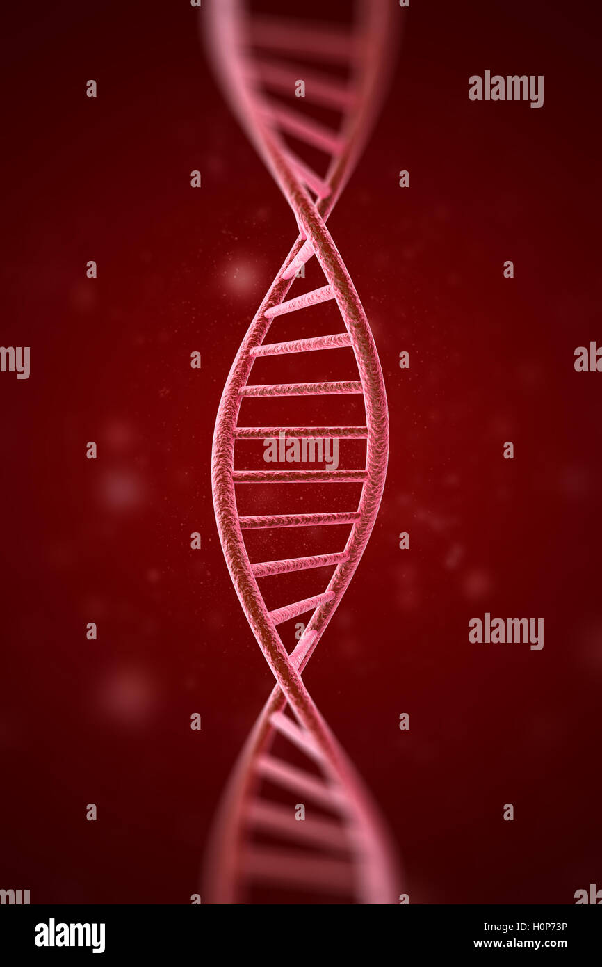 Rna model structure hi-res stock photography and images - Alamy