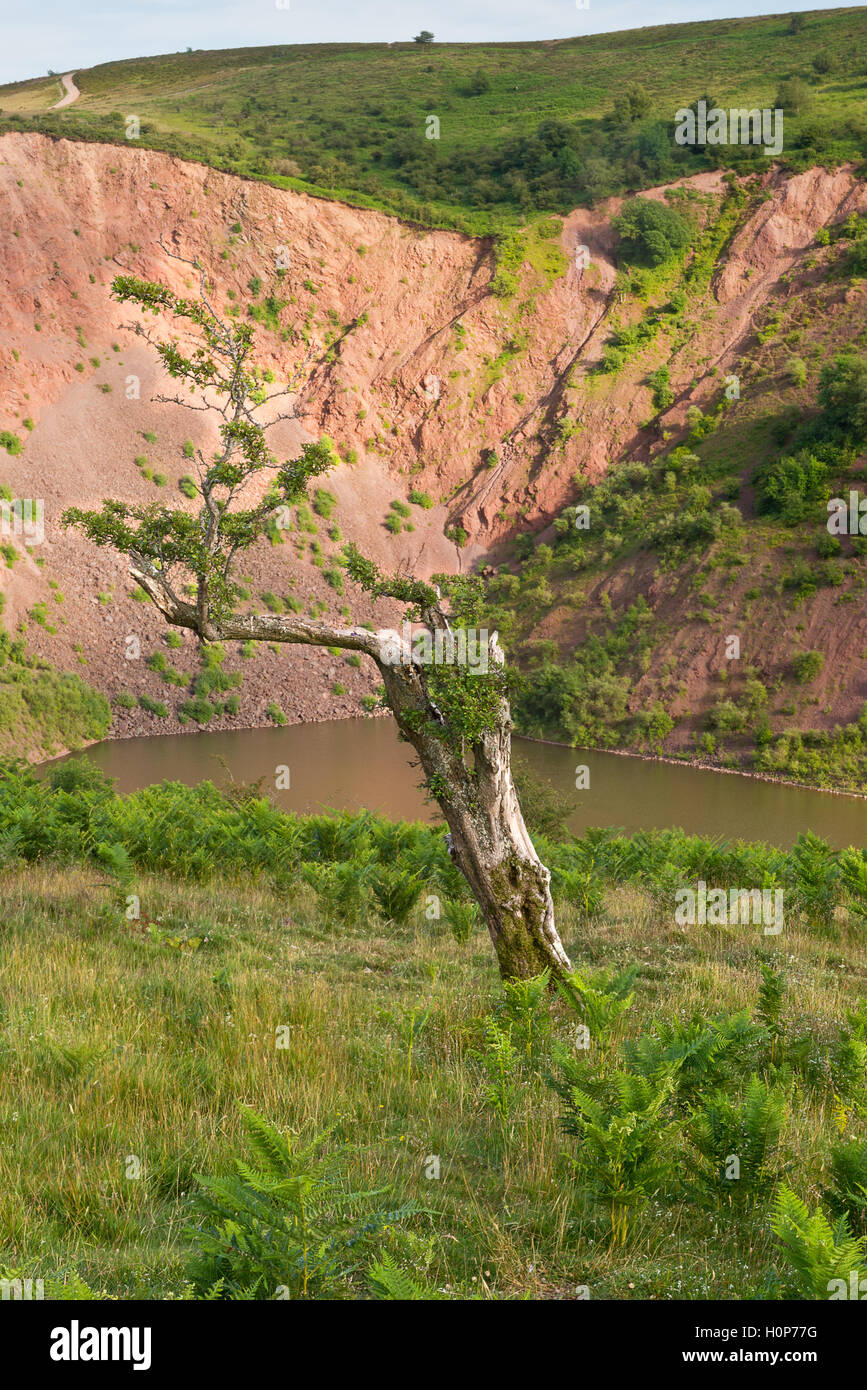 View of Triscombe quarry from Marrow Hill on the Quantock Hills part of ...