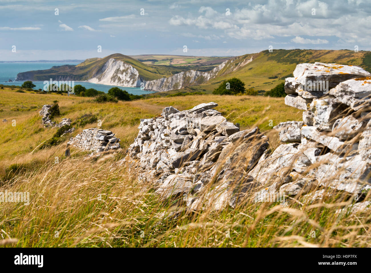 A stone wall running along Tyneham Cap with the chalk coast of Dorset ...