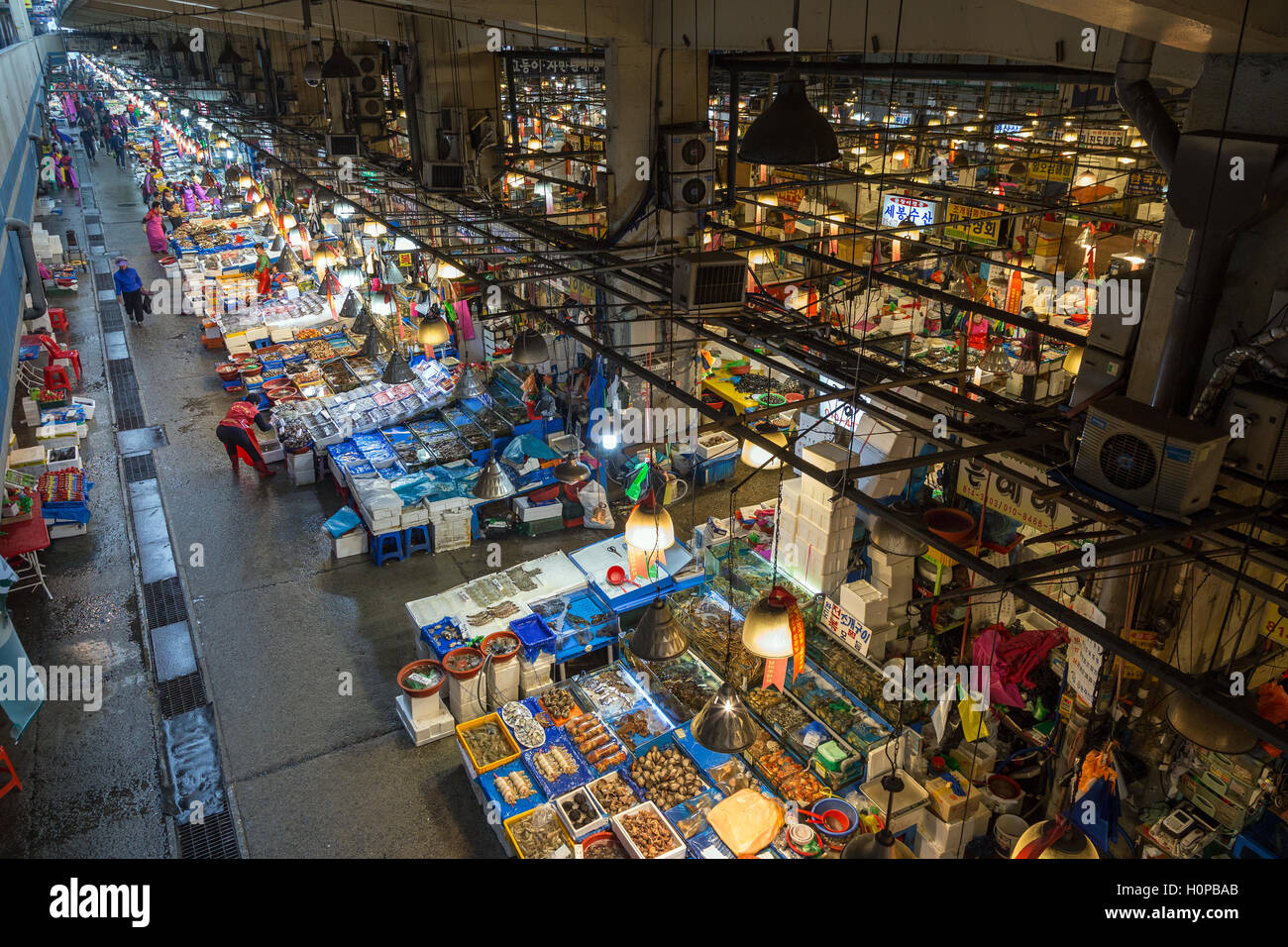 View of Noryangjin Fisheries Wholesale Market (or Noryangjin Fish ...