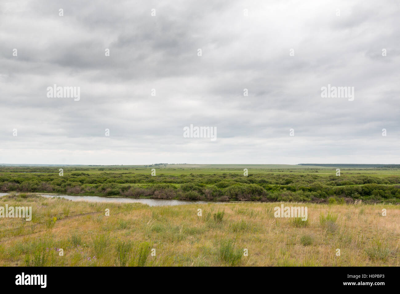 High steppe hi-res stock photography and images - Alamy
