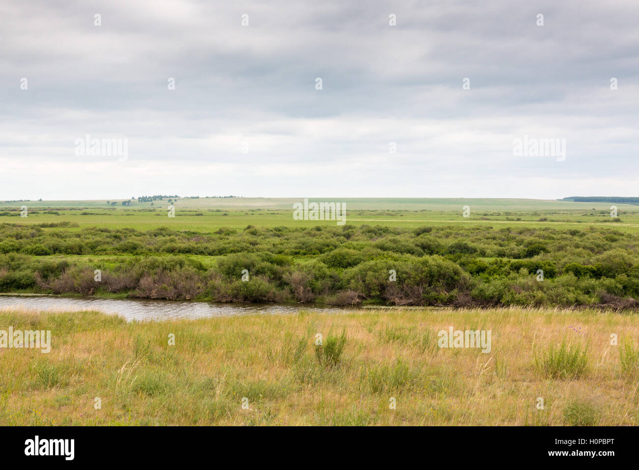 High steppe hi-res stock photography and images - Alamy