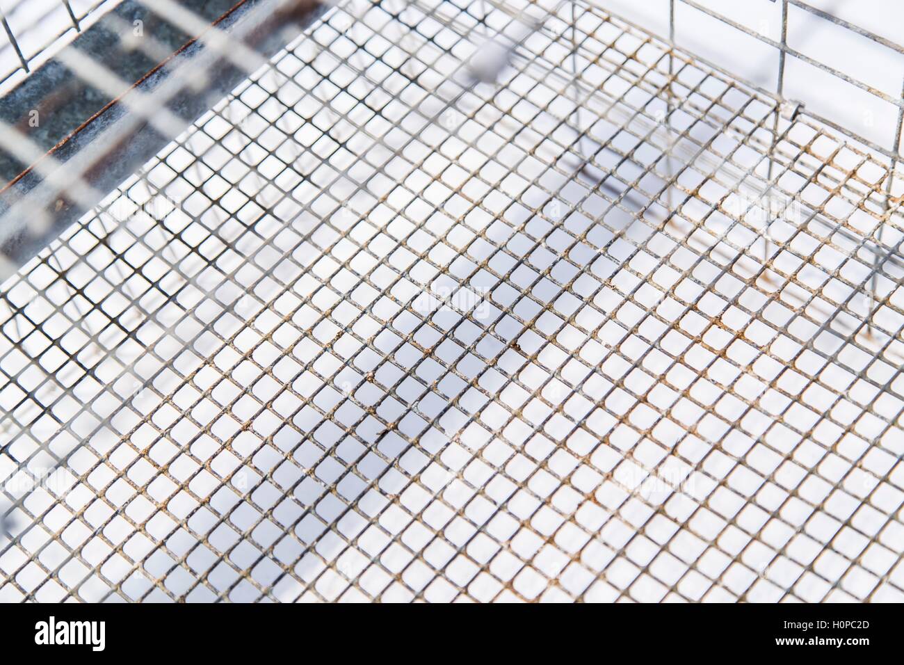 Net cage hi-res stock photography and images - Alamy