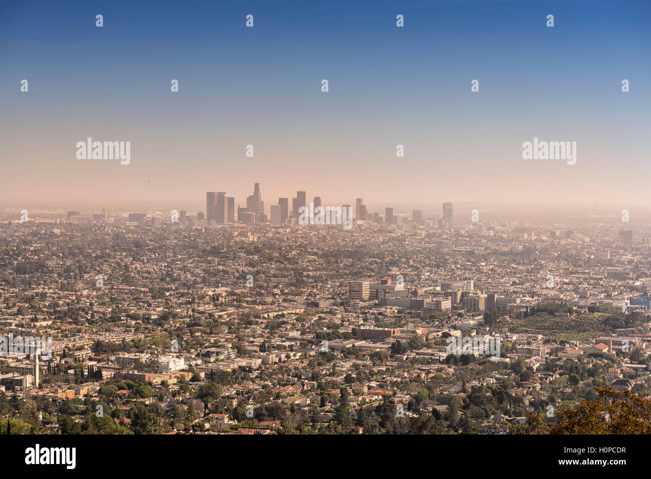 Building tops los angeles hi-res stock photography and images - Alamy