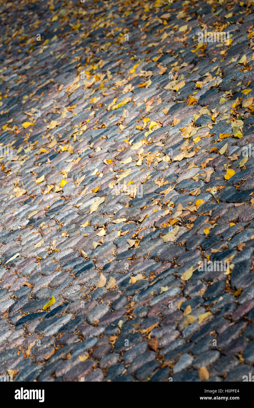 Fall colours colors leaves street hi-res stock photography and images ...