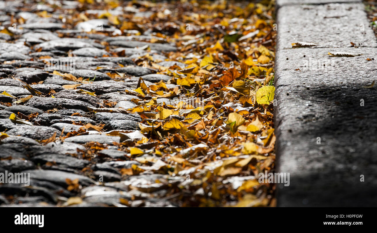 Street and nature hi-res stock photography and images - Alamy