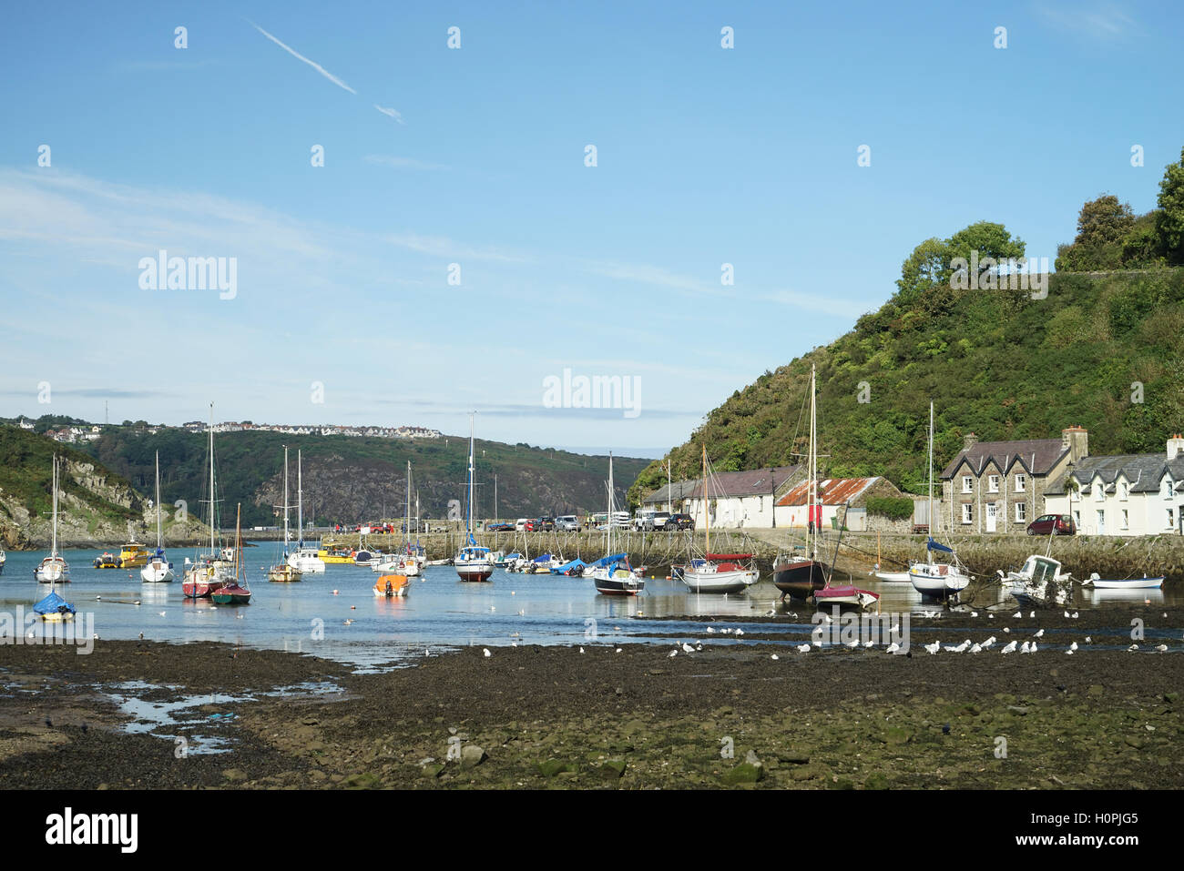 Fishguard Lower Town Quay -1 Stock Photo - Alamy