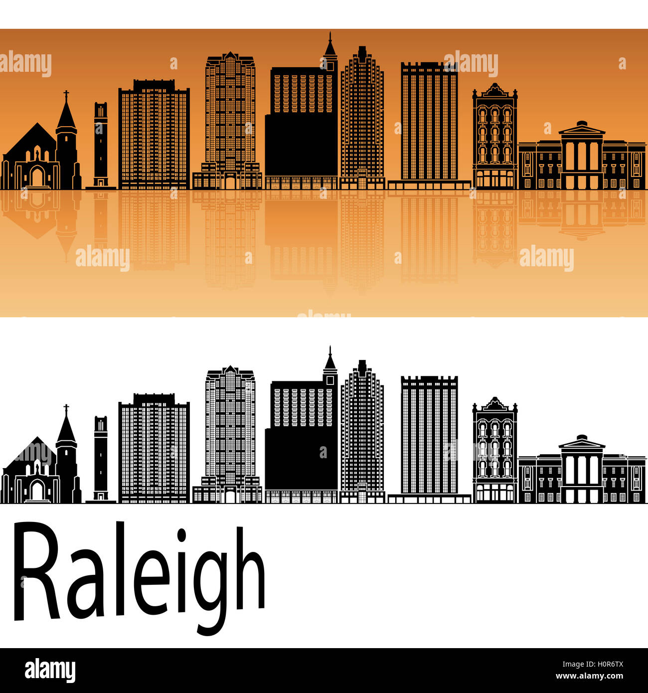Raleigh Skyline Vector