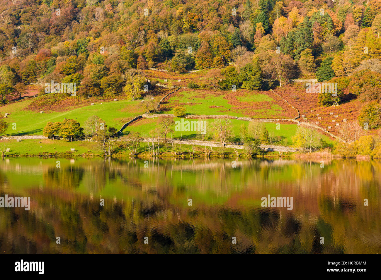 Rydal Fell High Resolution Stock Photography and Images - Alamy