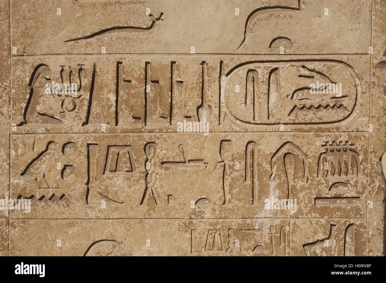 Egypt. Necropolis of Saqqara. Hieroglyphic writing. Relief. Old Kingdom ...