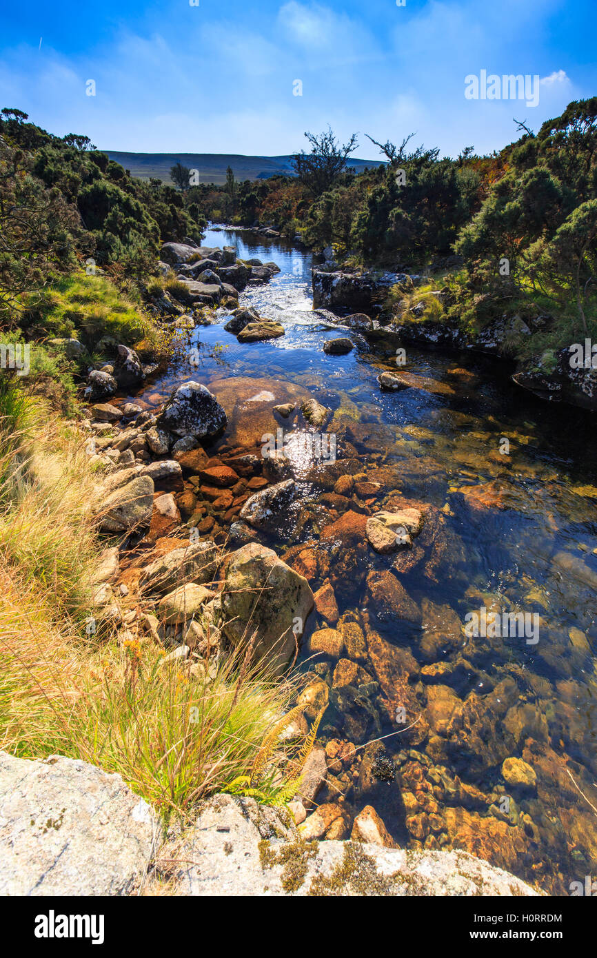The river Plym on Dartmoor, Devon Stock Photo - Alamy