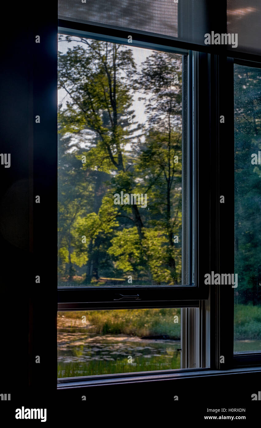 Looking out through window hi-res stock photography and images - Alamy