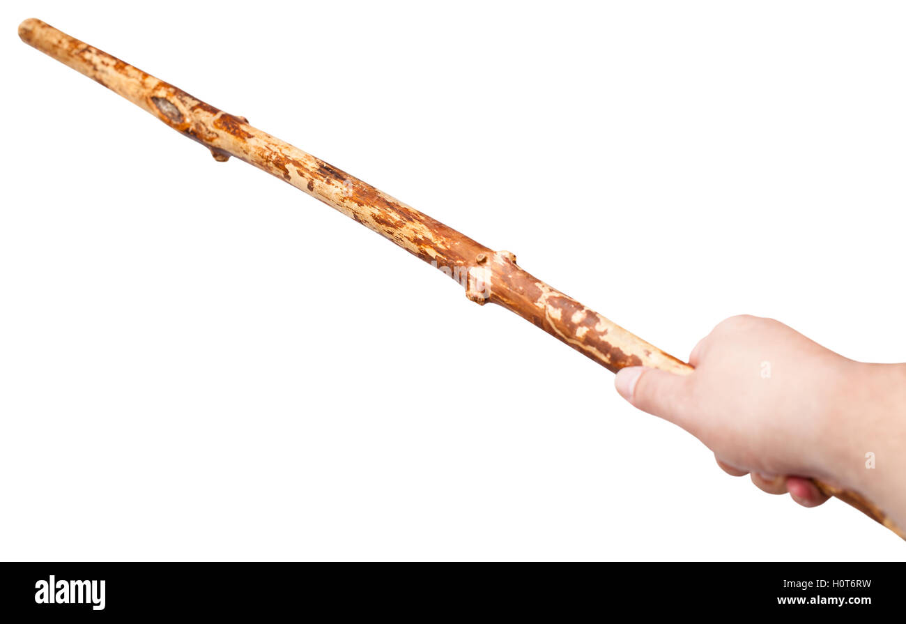 arm with wooden staff from tree trunk isolated on white background ...