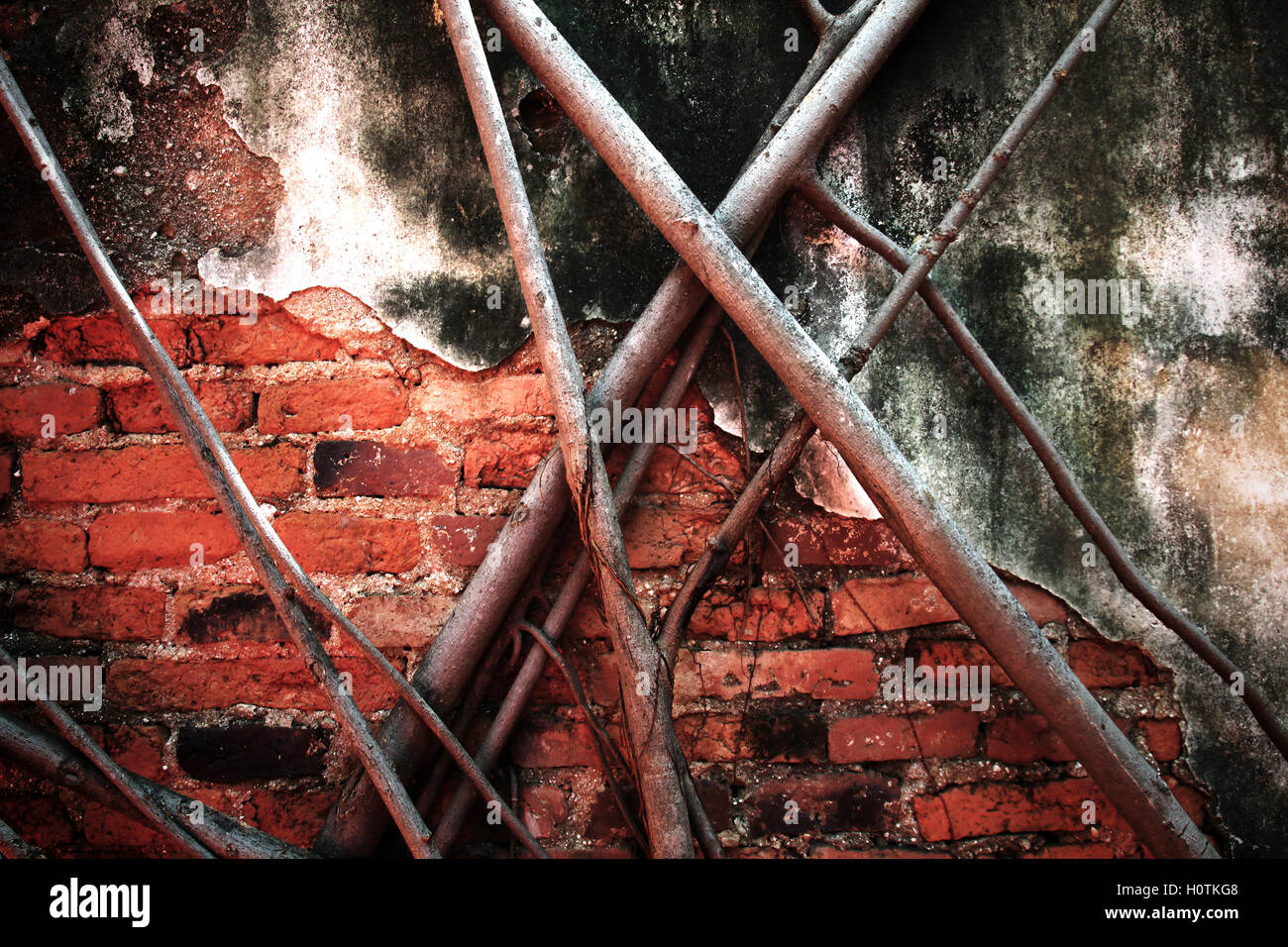 Old walls with tree roots Stock Photo - Alamy
