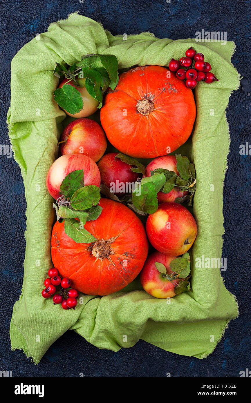 Apples and pumpkins on a green towel top view Stock Photo - Alamy