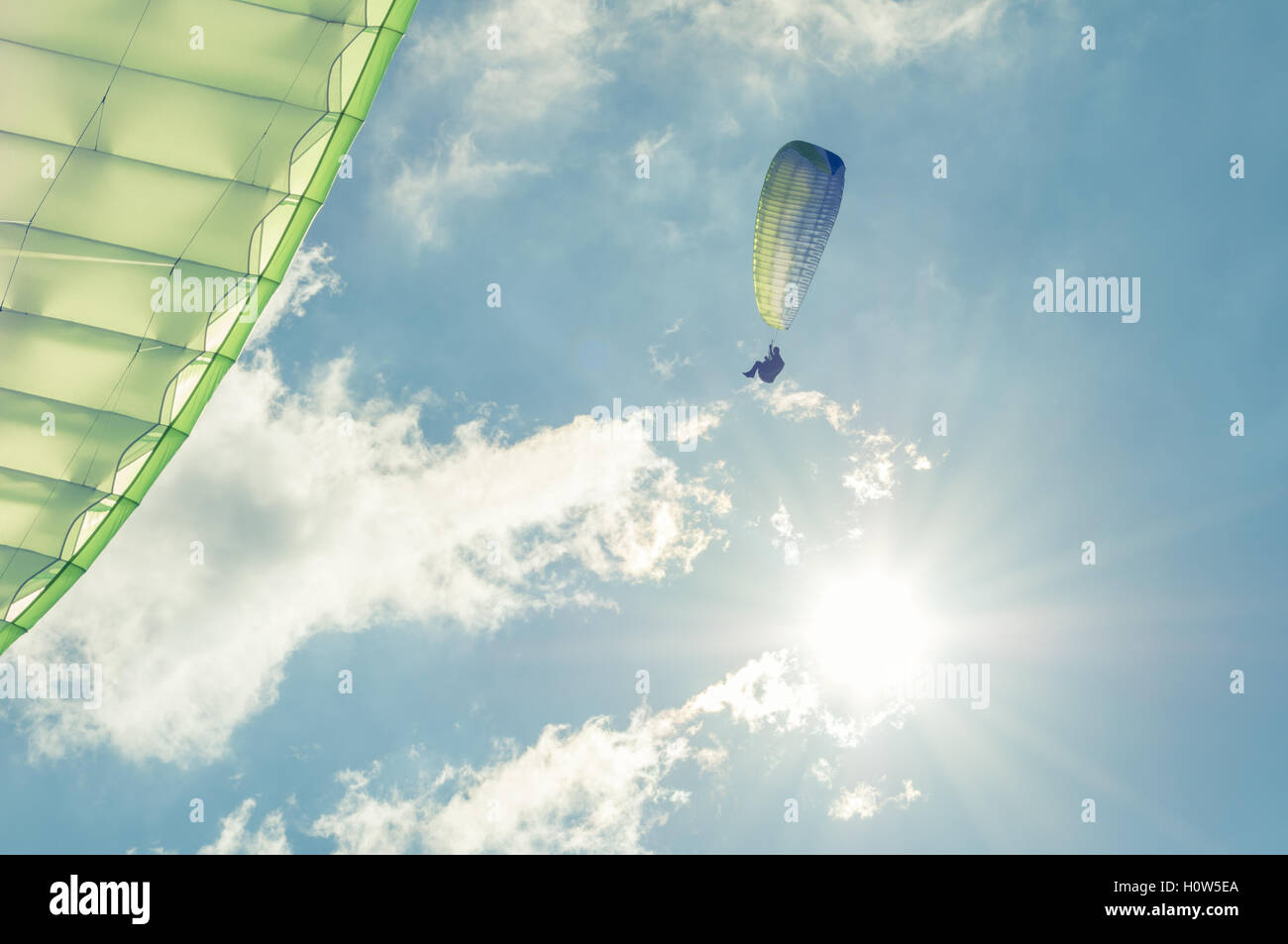 Low angle in sun light of paragliders in the sky with copy text space ...
