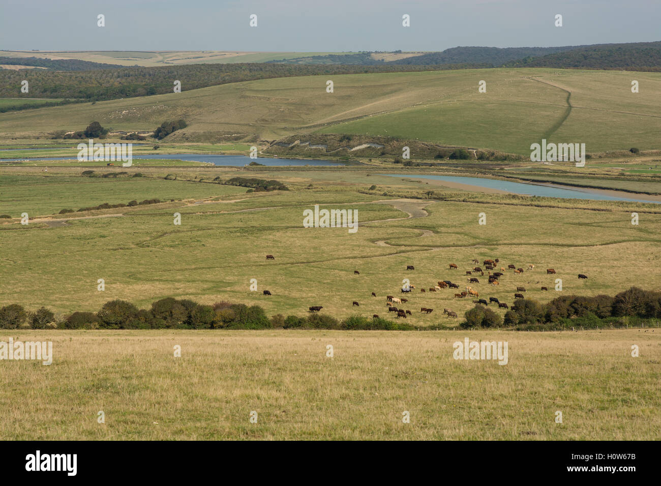 The River Cuckmere estuary with meanders at Cuckmere Haven in East ...