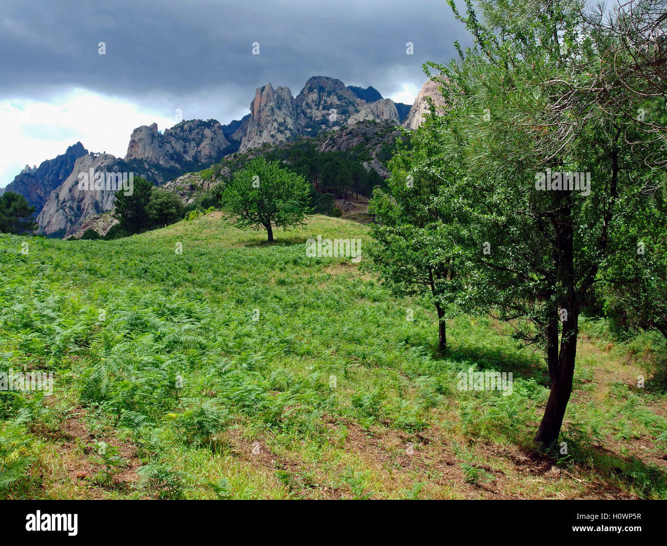 Korsika alta rocca landschaft hi-res stock photography and images - Alamy