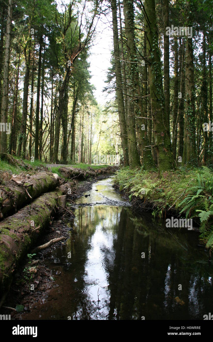 Deepness hi-res stock photography and images - Alamy