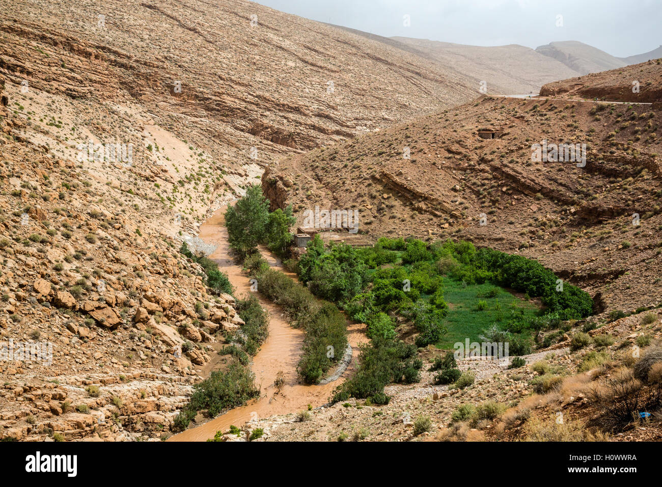 Dades Gorge, Morocco. Muddy water in the Dades Gorge Results from Rain ...