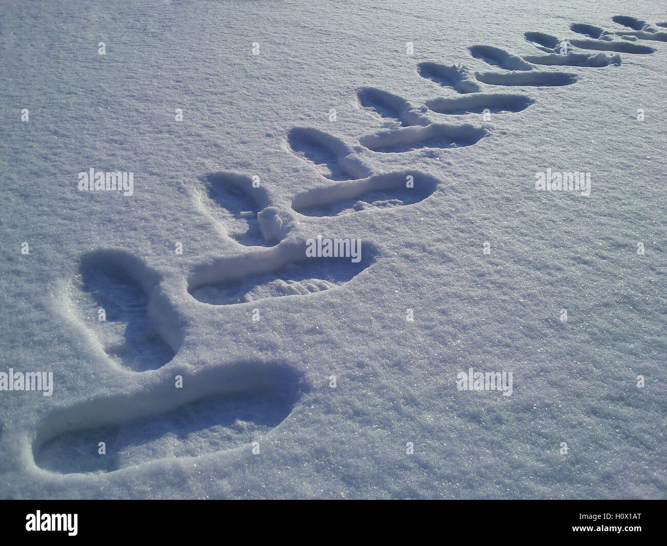 Footprints on snow Stock Photo - Alamy