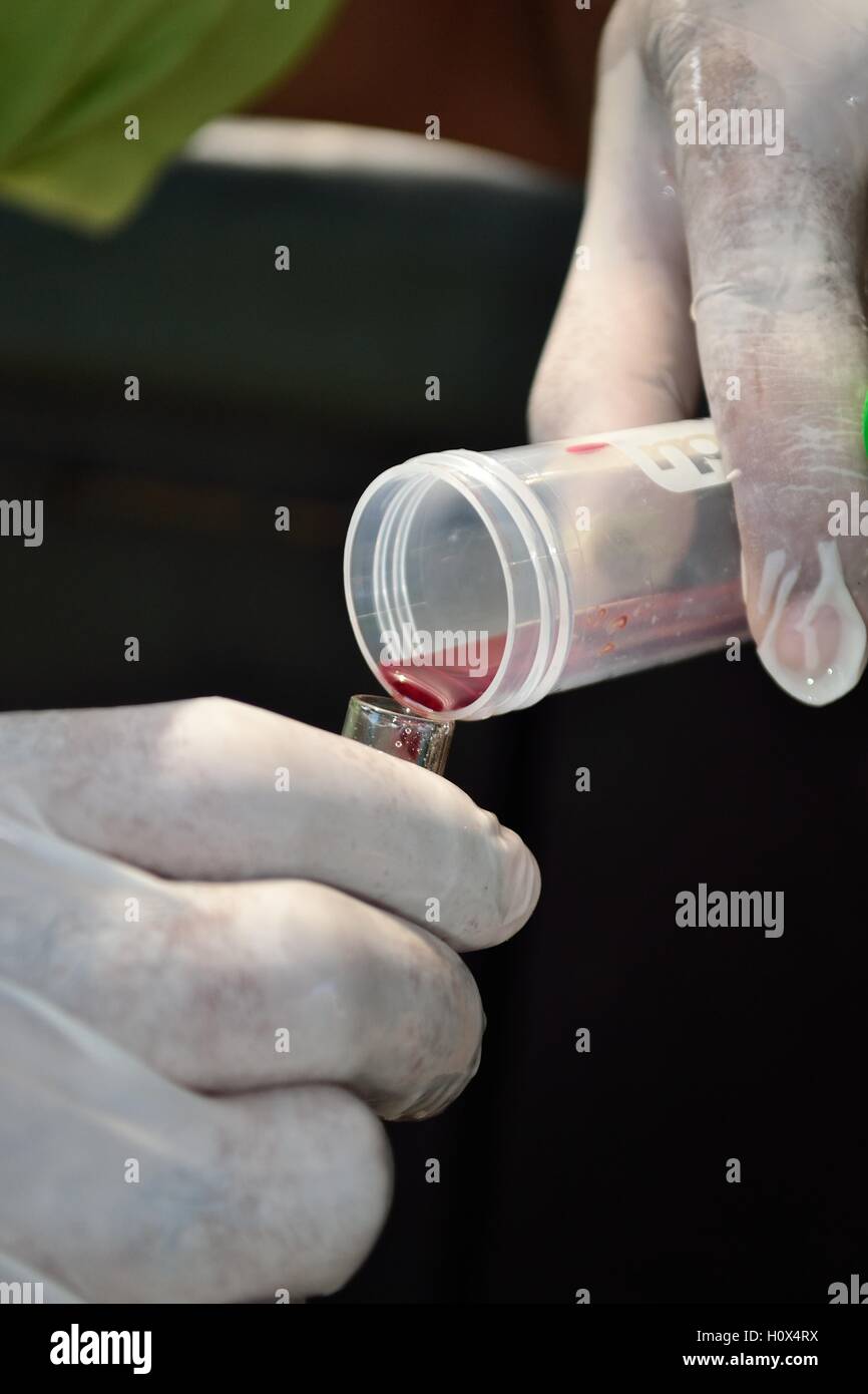 Blood sampling of paiche fish -Fish farming project in PUERTO PIZARRO ...