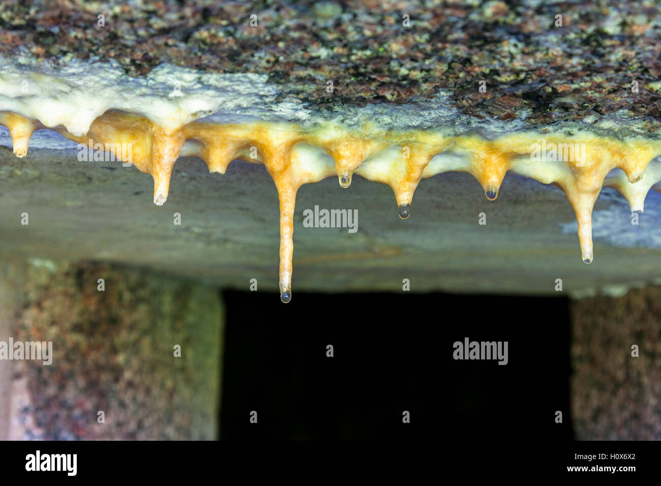 Stalactites hanging from the ceiling with water drops Stock Photo - Alamy