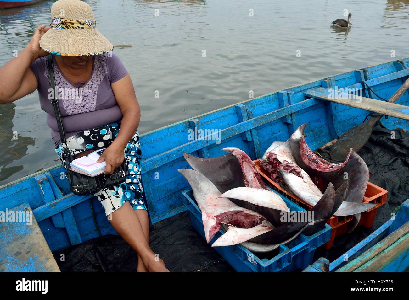 Manta Ray Peru High Resolution Stock Photography and Images - Alamy