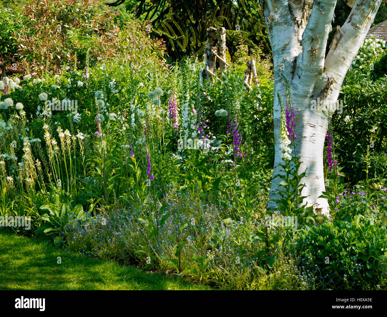 Early june border hi-res stock photography and images - Alamy