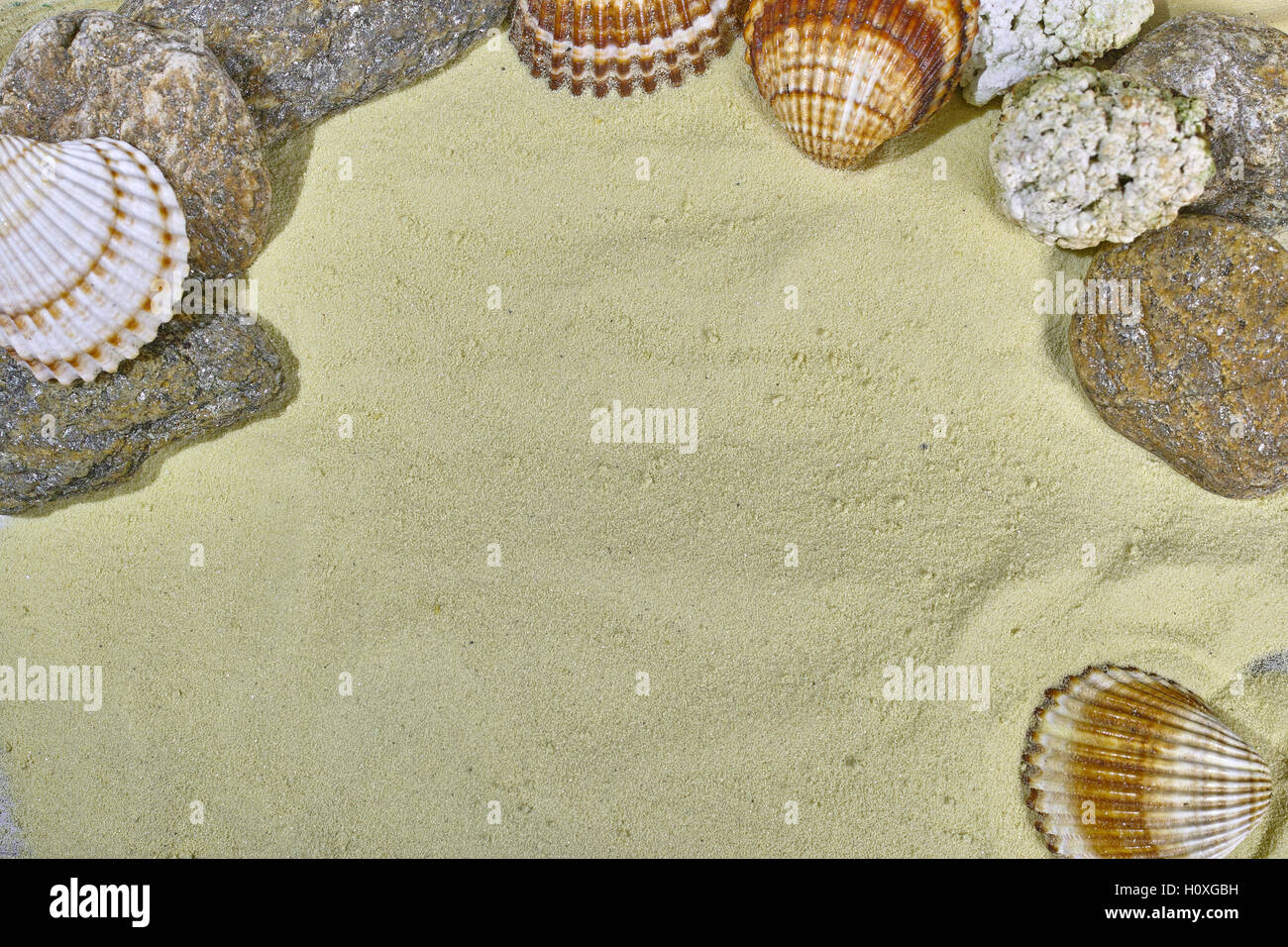 Limestone with sea shells fossils hi-res stock photography and images ...