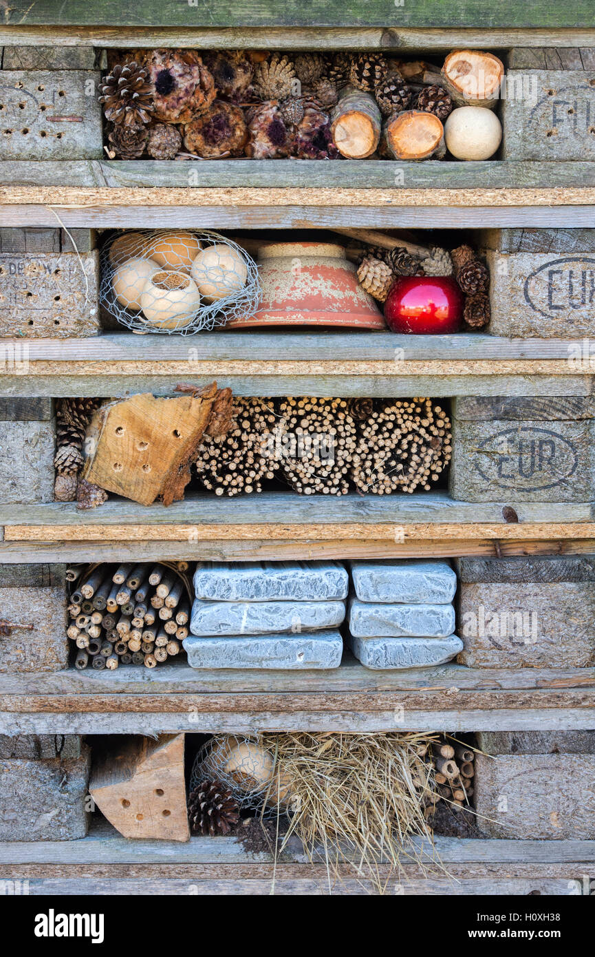 Structure of insects hi-res stock photography and images - Alamy