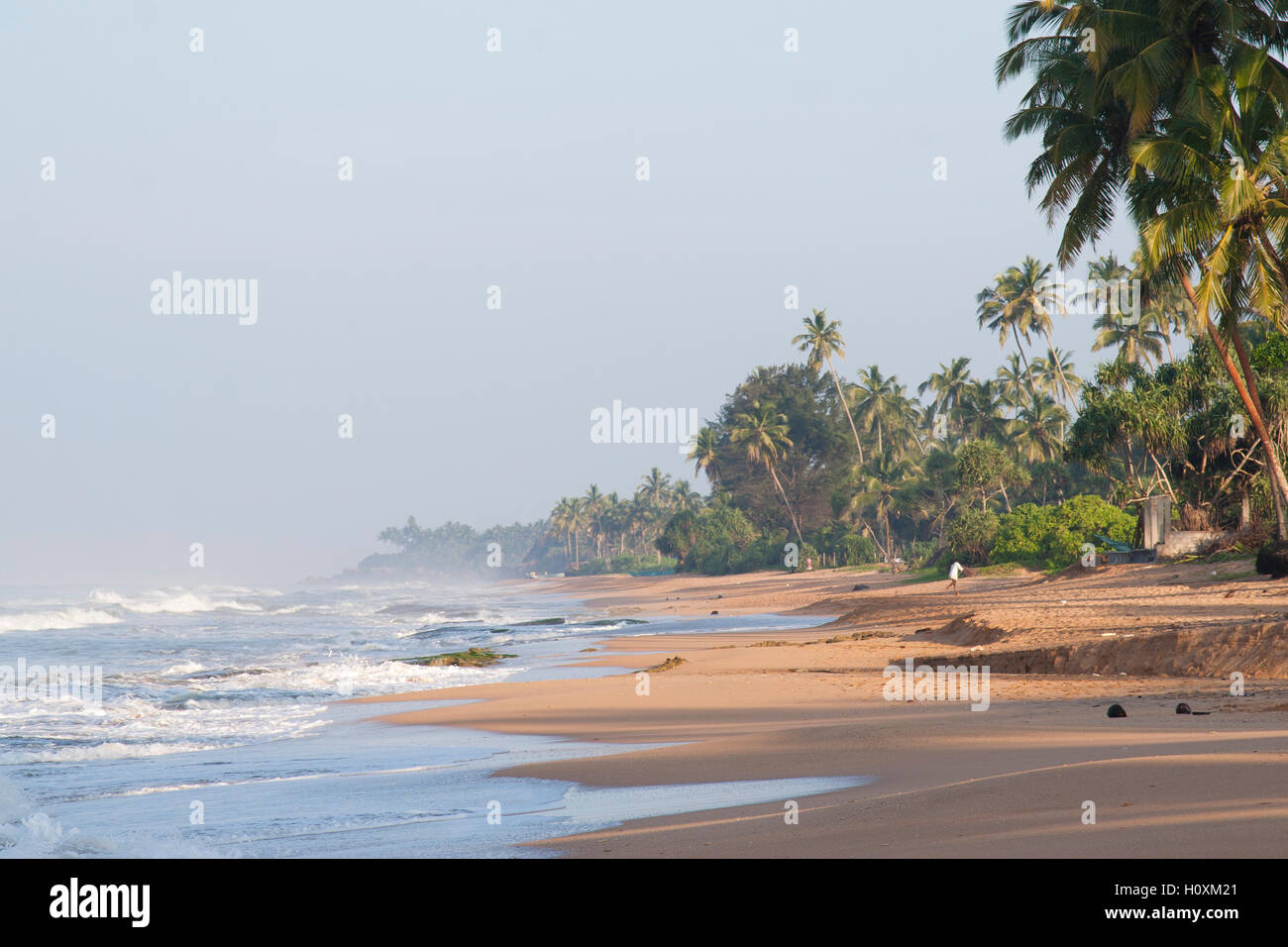 Kosgoda beach, Sri Lanka in the early morning Stock Photo - Alamy