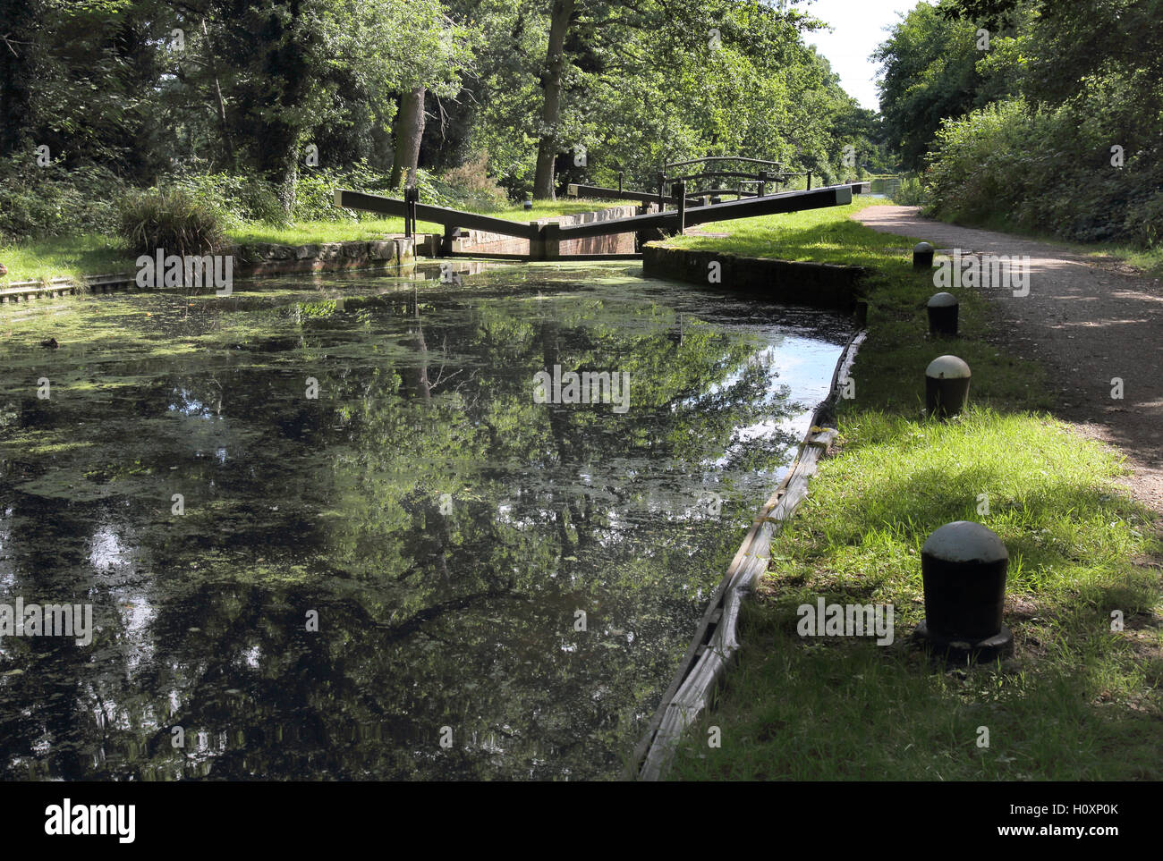 locks on the baisingstoke canal near woodham surrey Stock Photo - Alamy