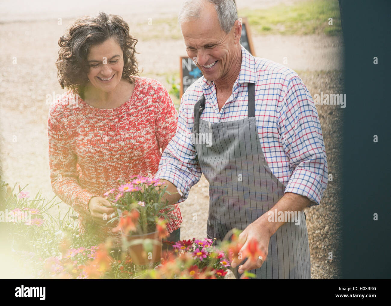 plant nursery worker helping woman flower Stock Photo - Alamy