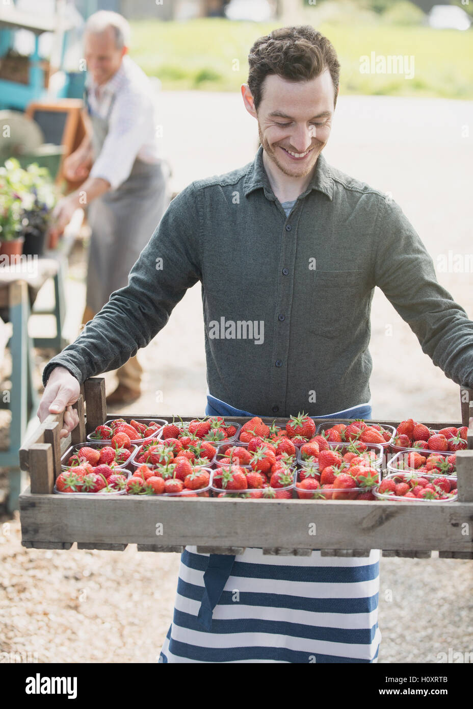 farmer's market worker crate strawberry Stock Photo - Alamy
