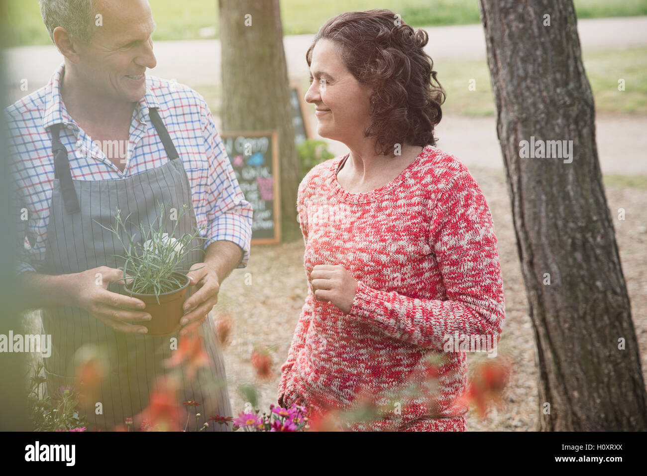 plant nursery worker woman potted flower Stock Photo - Alamy