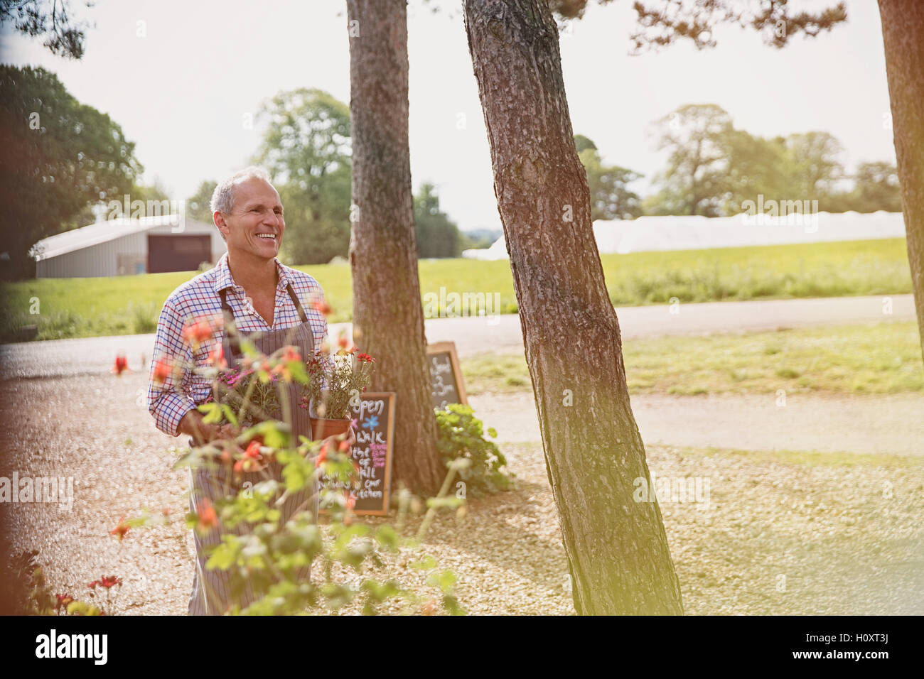 smiling plant nursery worker carrying flower Stock Photo - Alamy