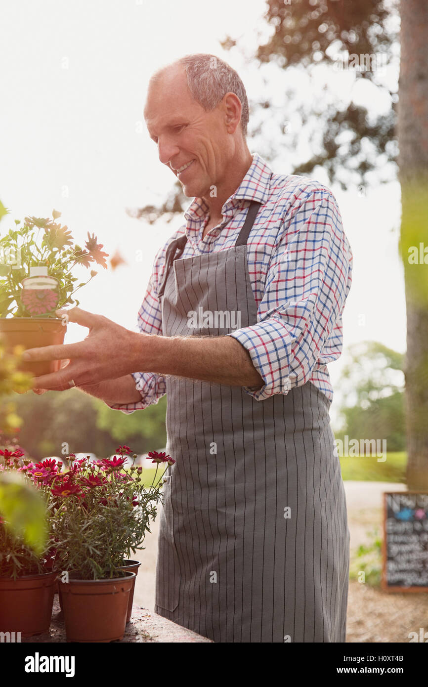 smiling plant nursery worker potted flower Stock Photo - Alamy