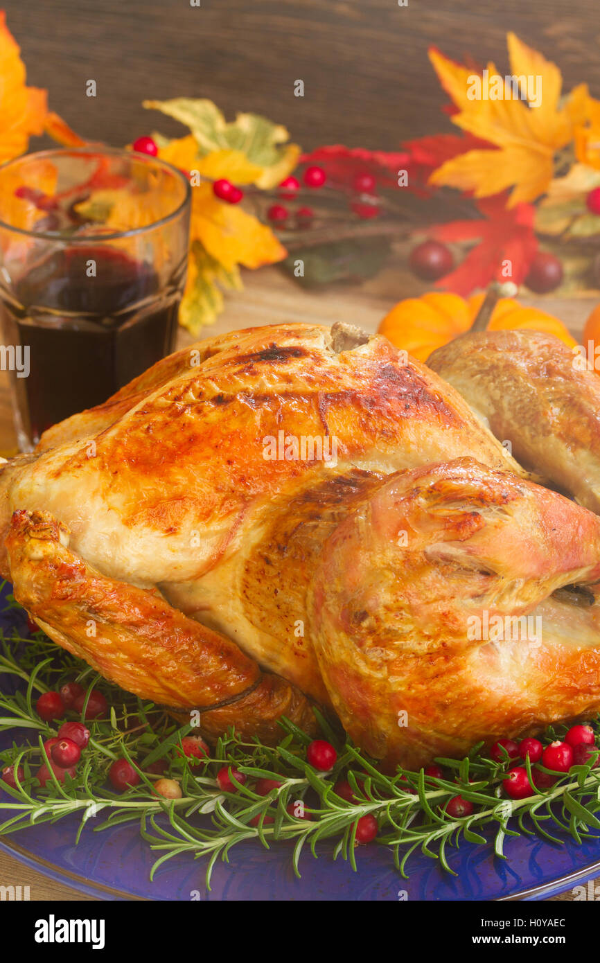 Thnaksgiving turkey close up Stock Photo - Alamy