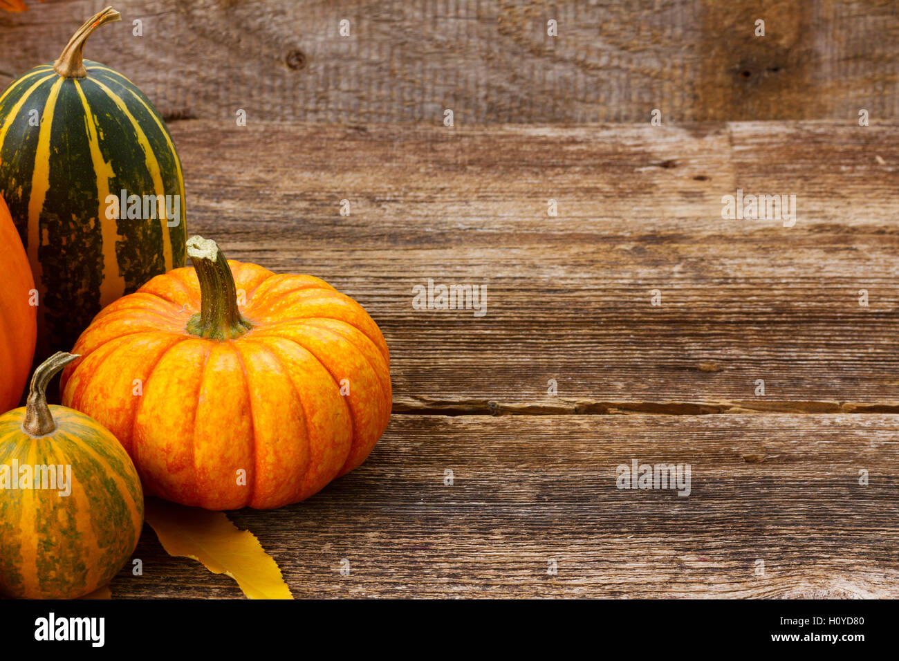 pumpkin on table Stock Photo - Alamy