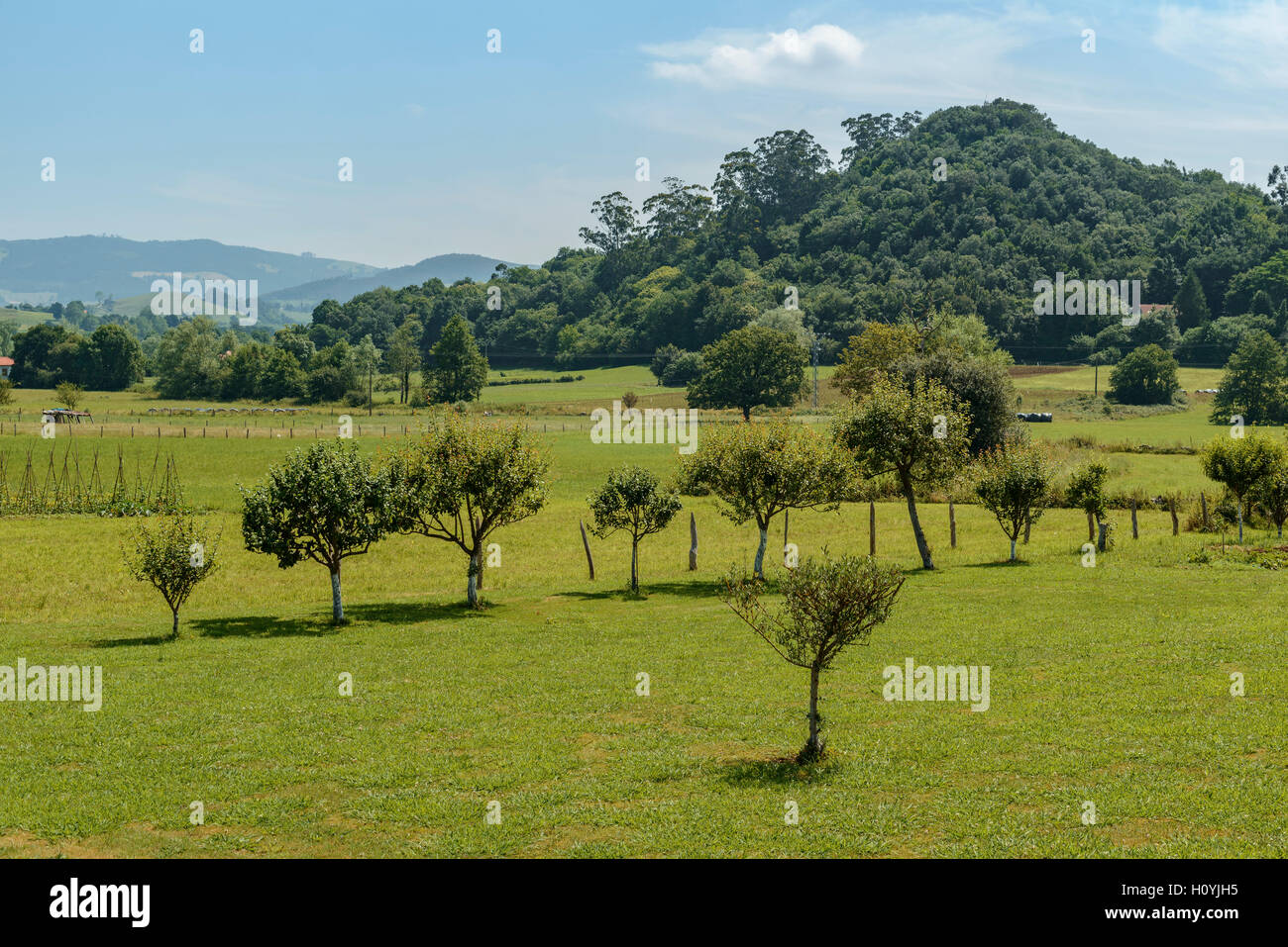 Country finca and grove in the village of La Cavada, Cantabria, Spain ...