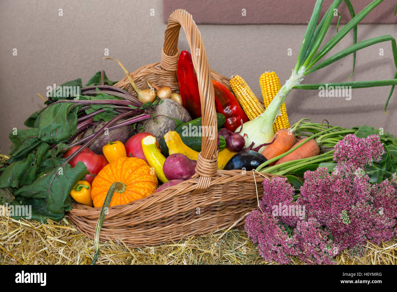A thanksgiving autumn display at a German Church near Winkler, Manitoba ...