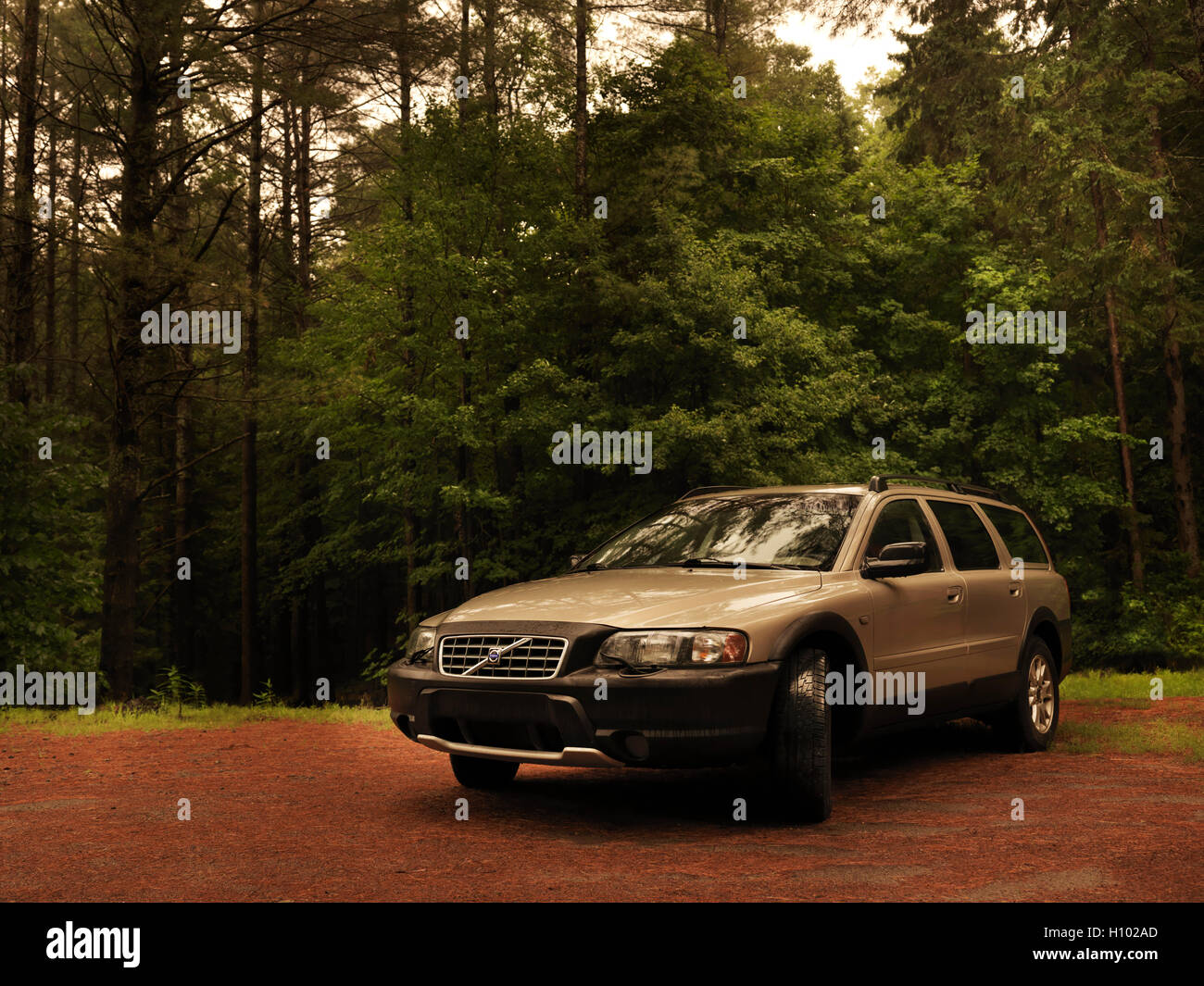 Auto in nature hi-res stock photography and images - Alamy