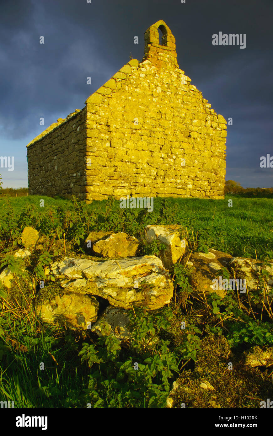 Old Ruin of Lligwy Chapel, Anglesey Wales Stock Photo - Alamy