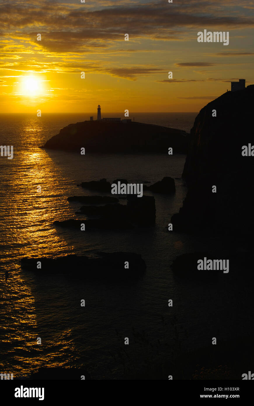 South Stack Lighthouse at Sunset, Isle of Anglesey Stock Photo - Alamy