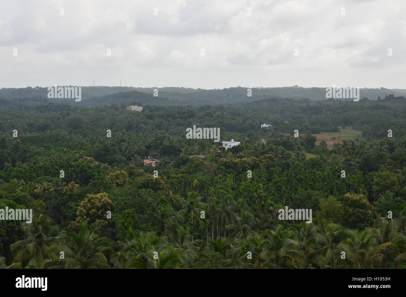 Mudipu hi-res stock photography and images - Alamy