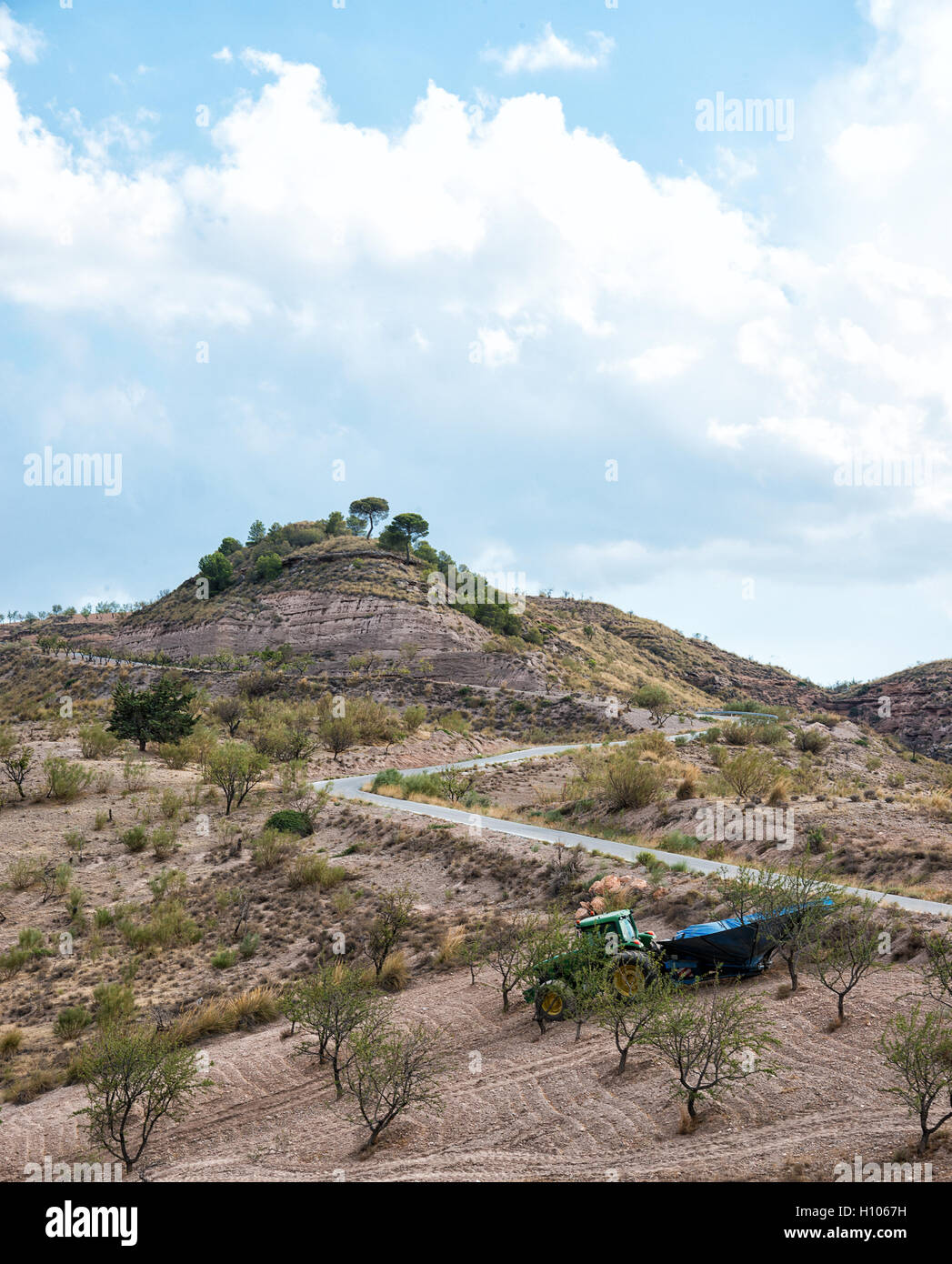 Landscape of a Almond field showing a harvesting shaker and collector ...